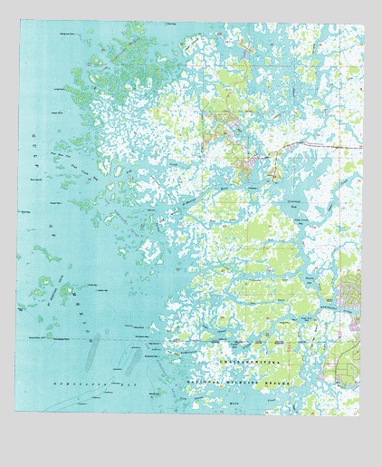 Ozello, FL Topographic Map - TopoQuest