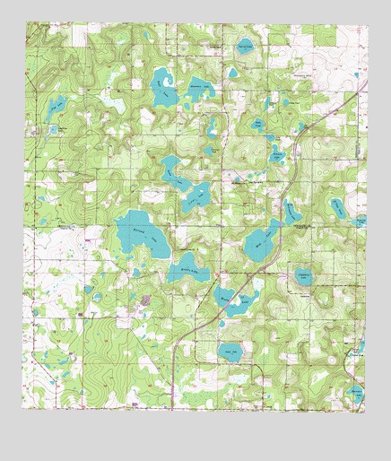 Spring Lake, FL Topographic Map - TopoQuest