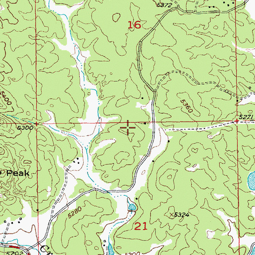 Custer State Park - Norbeck Wildlife Preserve, SD