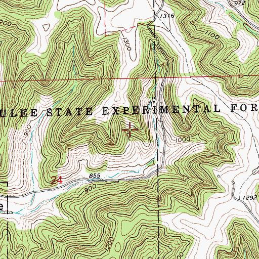 Coulee State Experimental Forest, WI