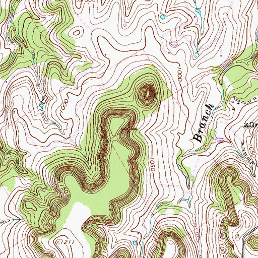 Fossil Rim Wildlife Center, TX
