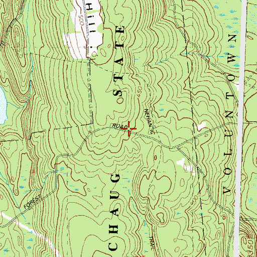Pachaug State Forest, CT