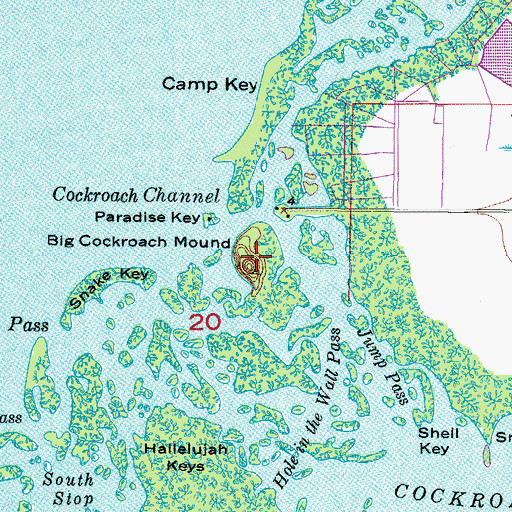 Big Cockroach Mound, FL