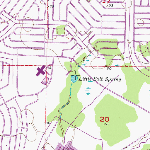 Little Salt Spring, FL