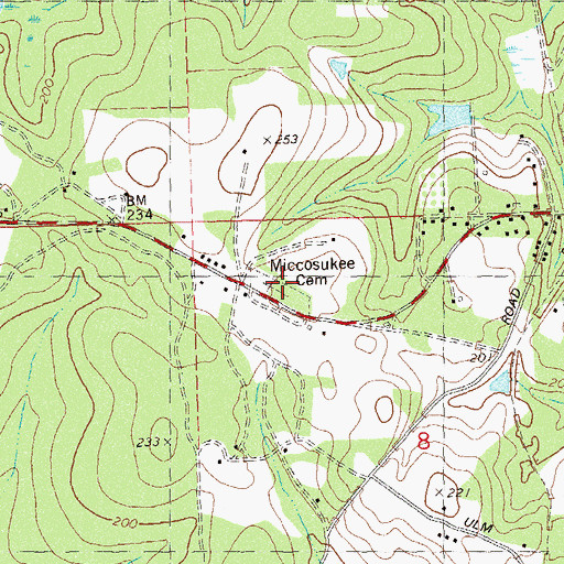 Miccosukee Cemetery, FL