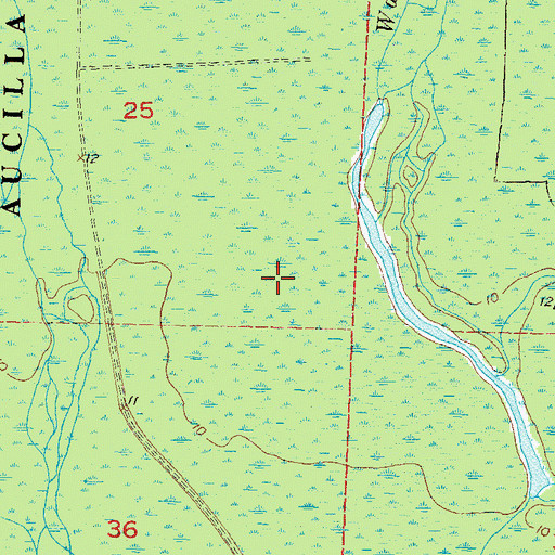 Aucilla Wildlife Management Area, FL
