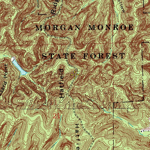 Morgan Monroe State Forest