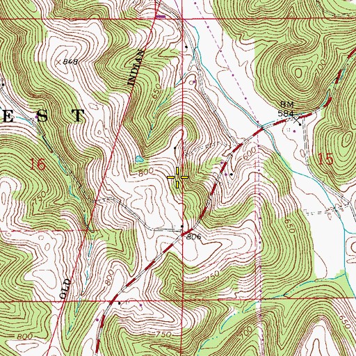 Hoosier National Forest, IN