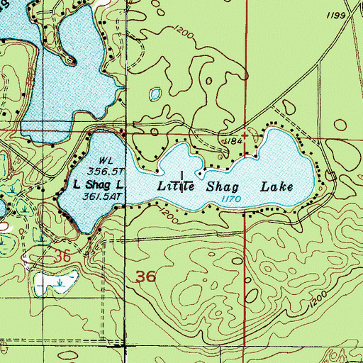 Little Shag Lake, MI