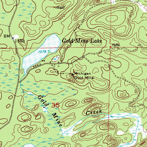 Michigan Gold Mine, MI