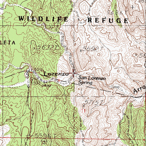 San Lorenzo Spring, NM